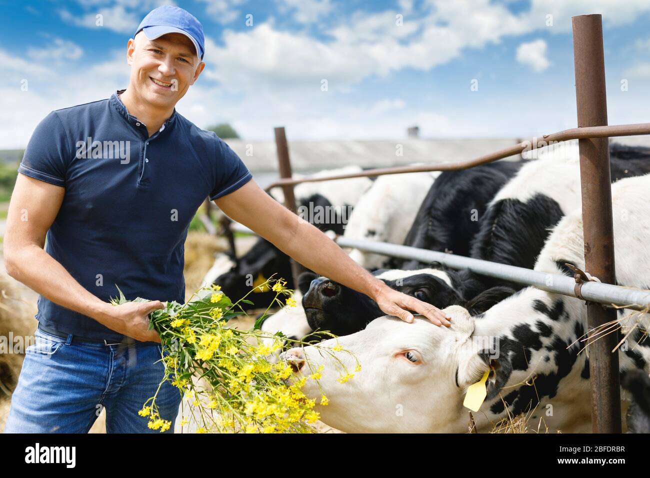 Positive livestock farm worker hi-res stock photography and images - Alamy