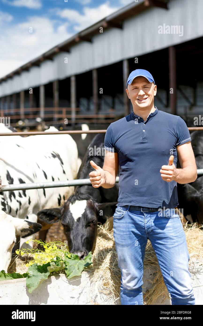 man farmer on farm with dairy cow Stock Photo - Alamy