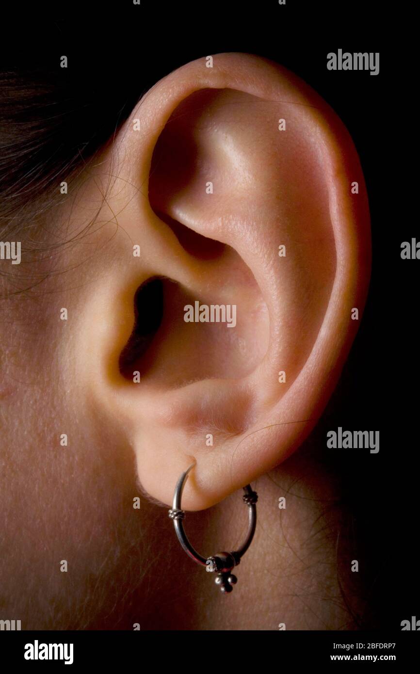 Close up of a pierced female ear with earing -Model Released Stock ...