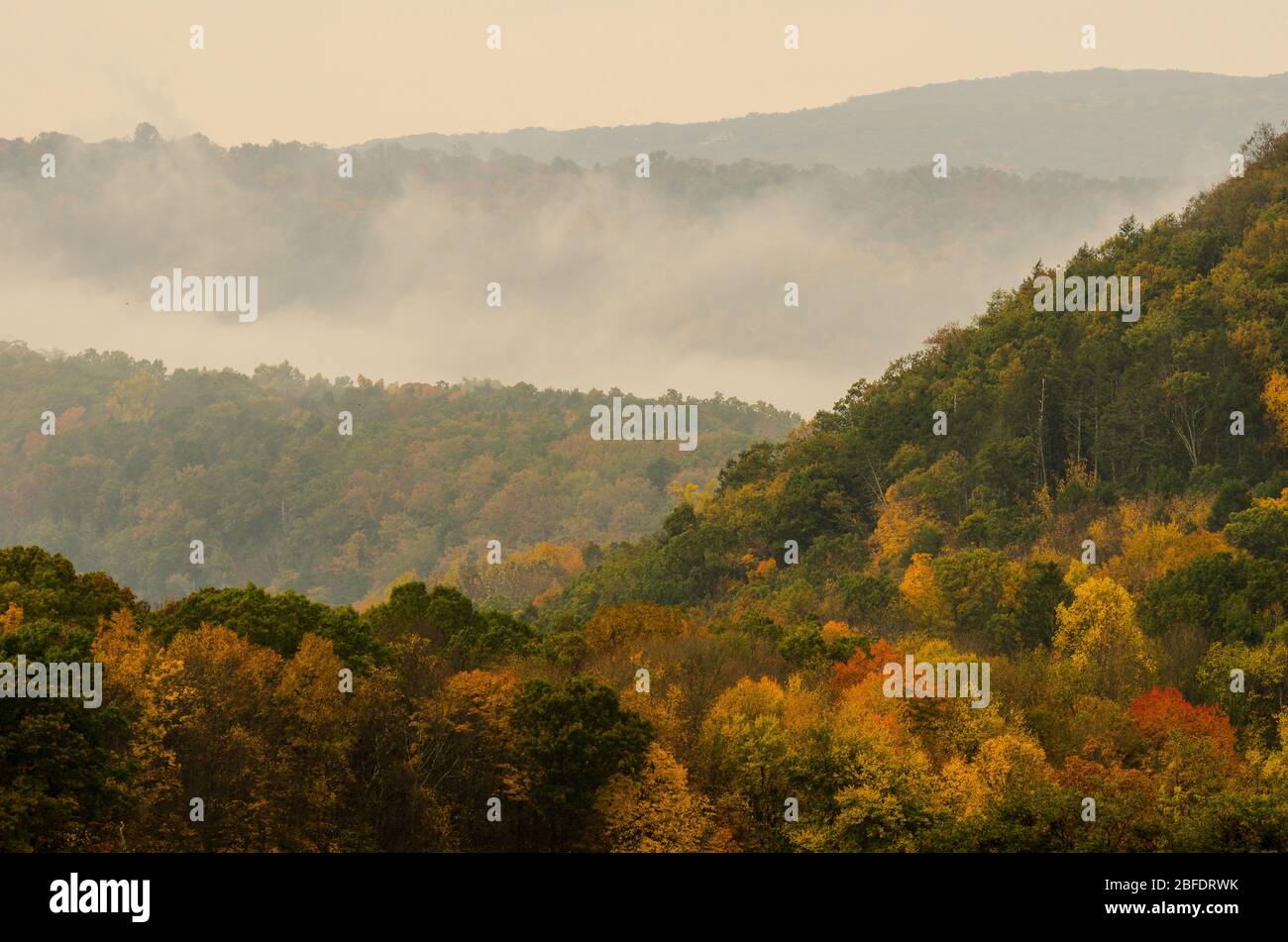 Mist drifts through the wooded contours of Connecticut's Litchfield ...