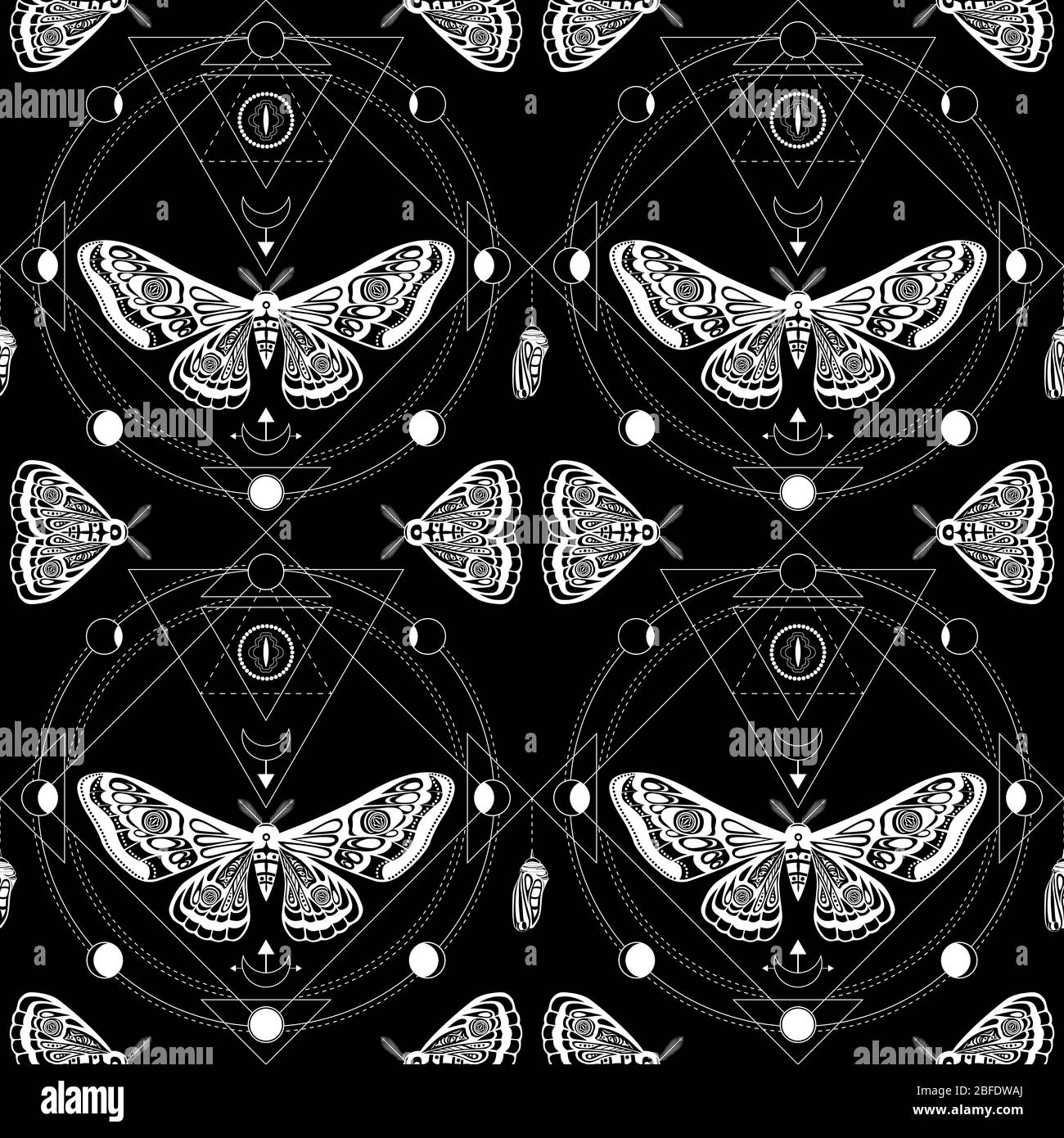 Pupa butterfly Black and White Stock Photos & Images - Alamy