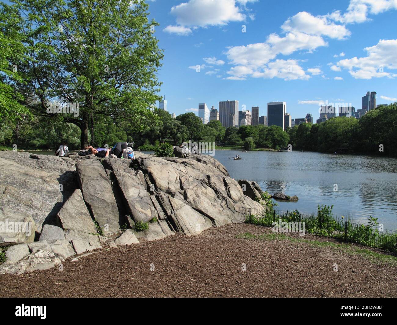 The pond at Central Park in Manhattan, New York City Stock Photo - Alamy