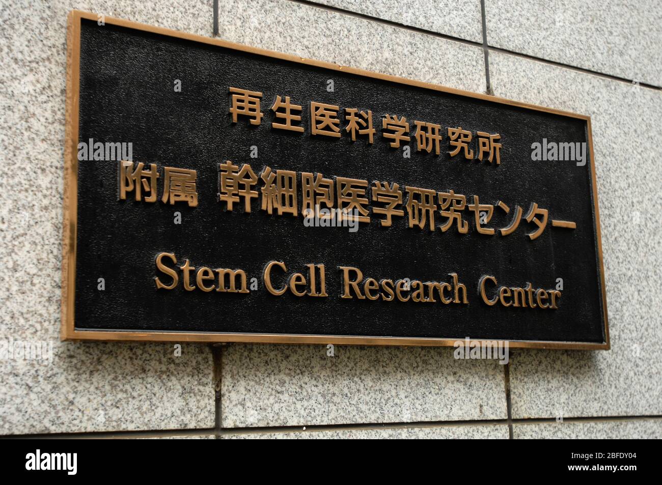 Wall name plaque for the Stem Celll Research Center, Kyoto, Japan Stock ...