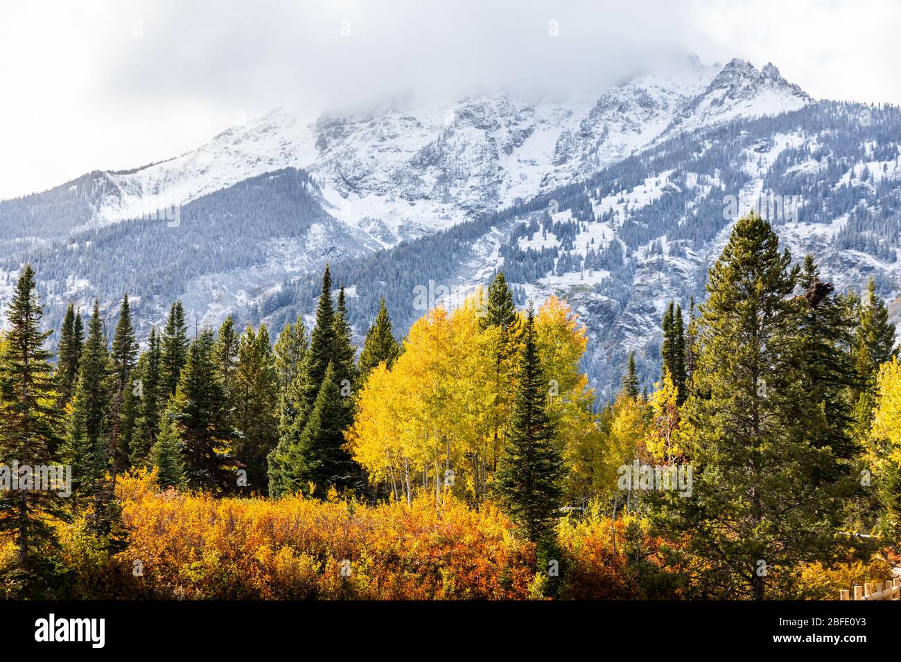 Snow cover mountains peak of Grand Teton surrounding by colorful trees ...