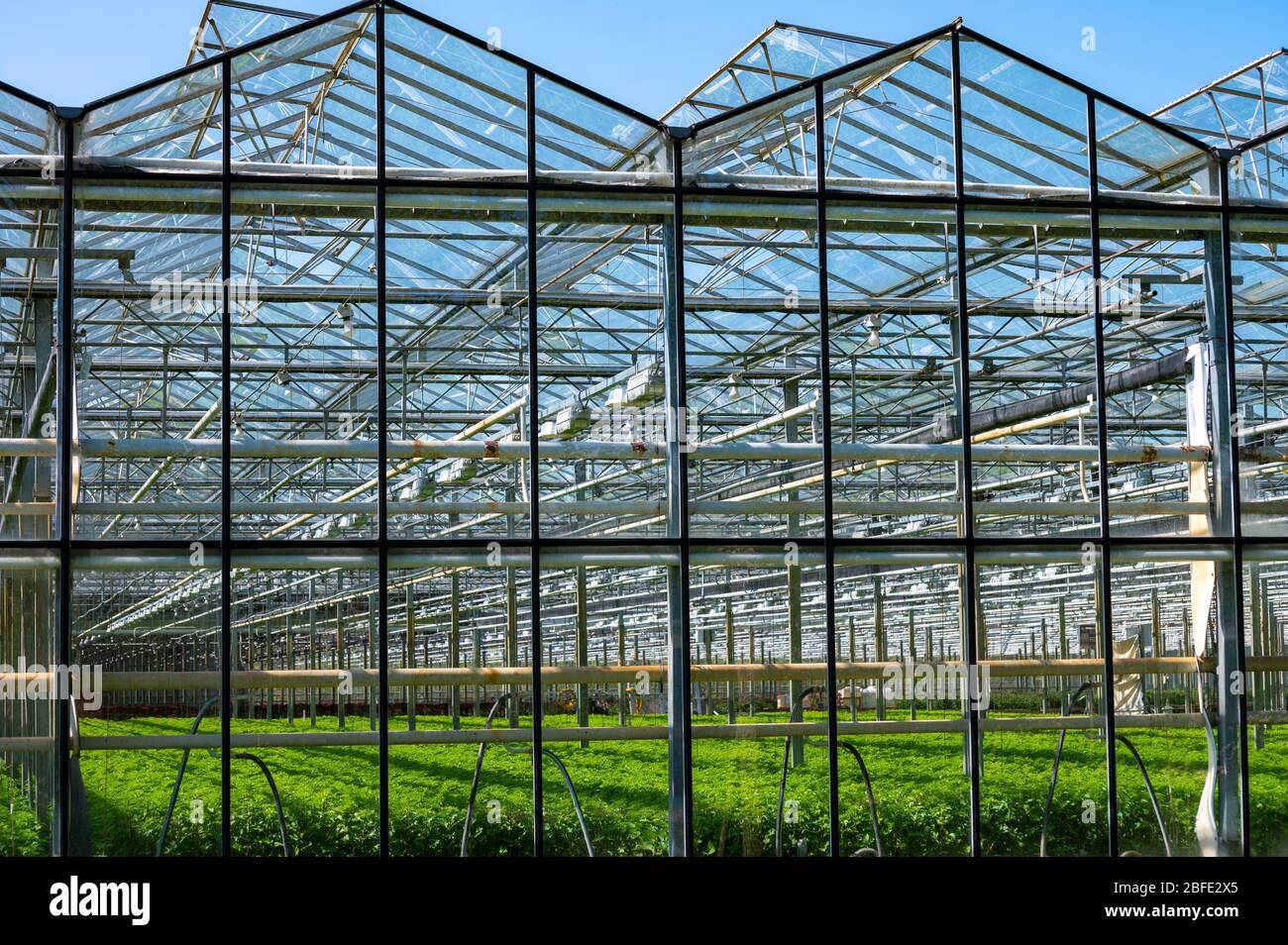 Big greenhouse hi-res stock photography and images - Alamy