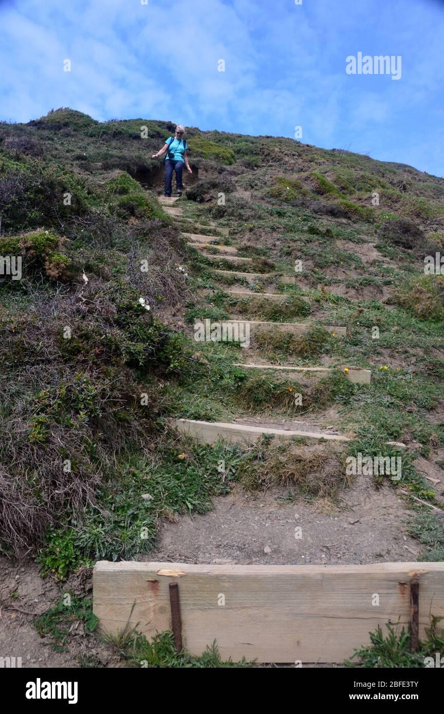 Lone Single Woman Hiker Walking down Steep Wooden Steps to the ...