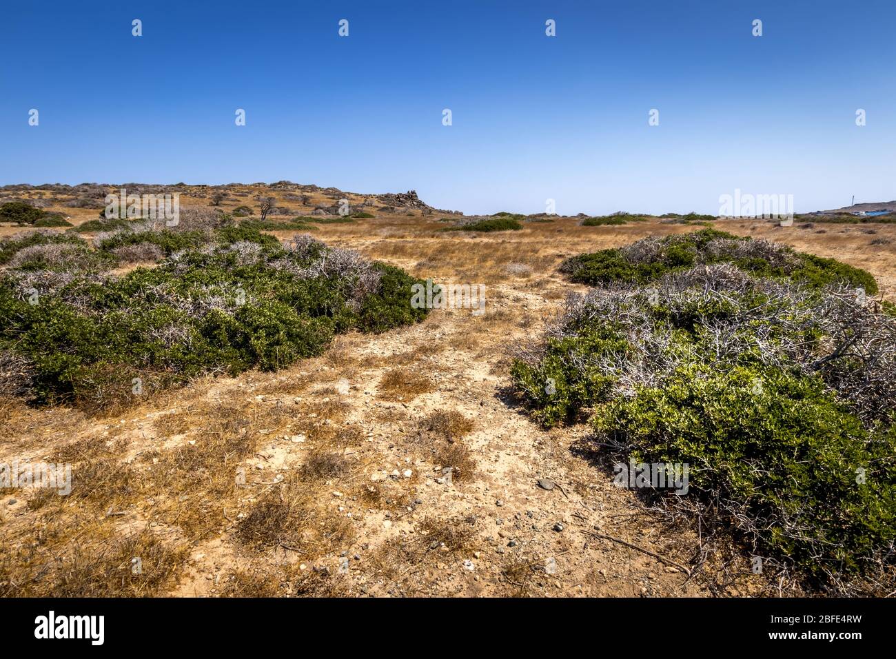 Chrissy island scenery on a sunny summer day with dry trees, brown soil ...