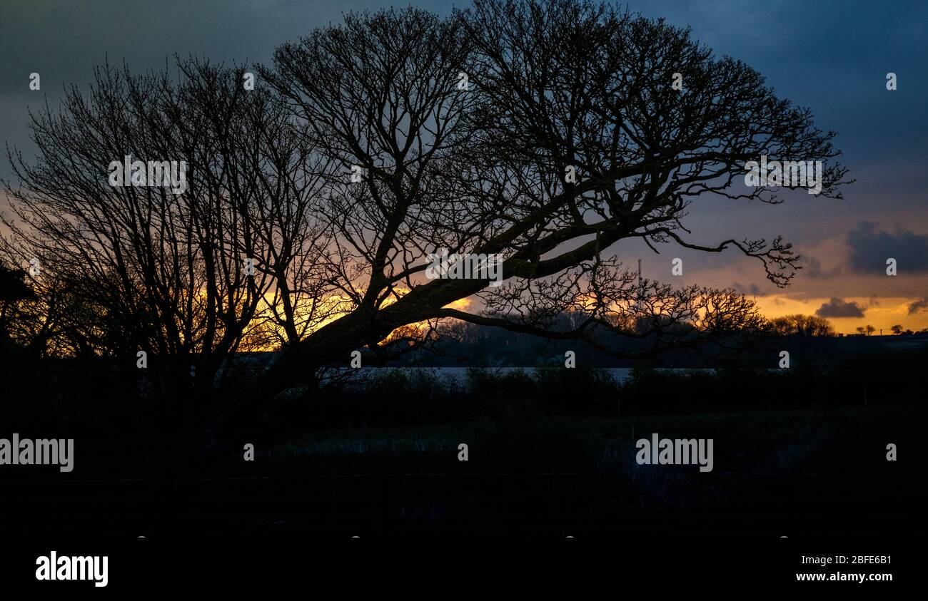 English farm sunrise hi-res stock photography and images - Alamy