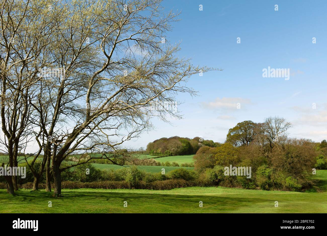 English rural landscape with fields, trees, shrubs and blue sky in ...
