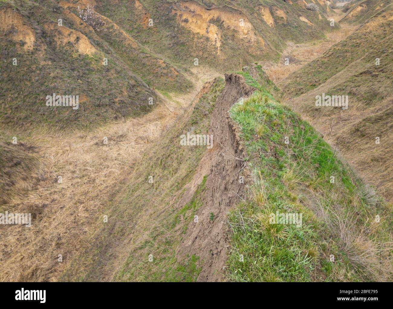 Spring landscape with soil erosion with channel and bordering ravines ...