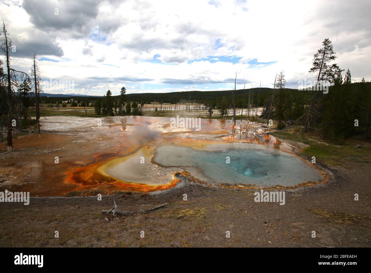 Pools at the Lower Geyser Basin, Yellowstone National Park Stock Photo ...