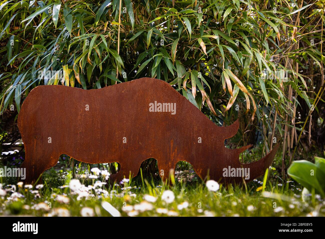 A rusty metal rhino in the garden, meadow with white flowers in the ...