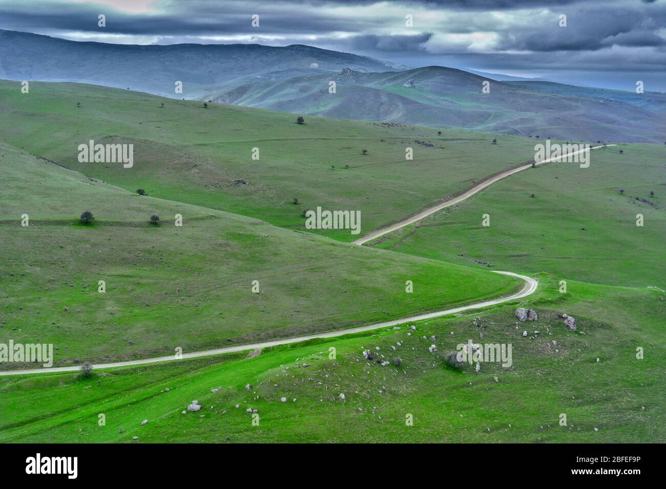 Plain green spring nature hi-res stock photography and images - Alamy