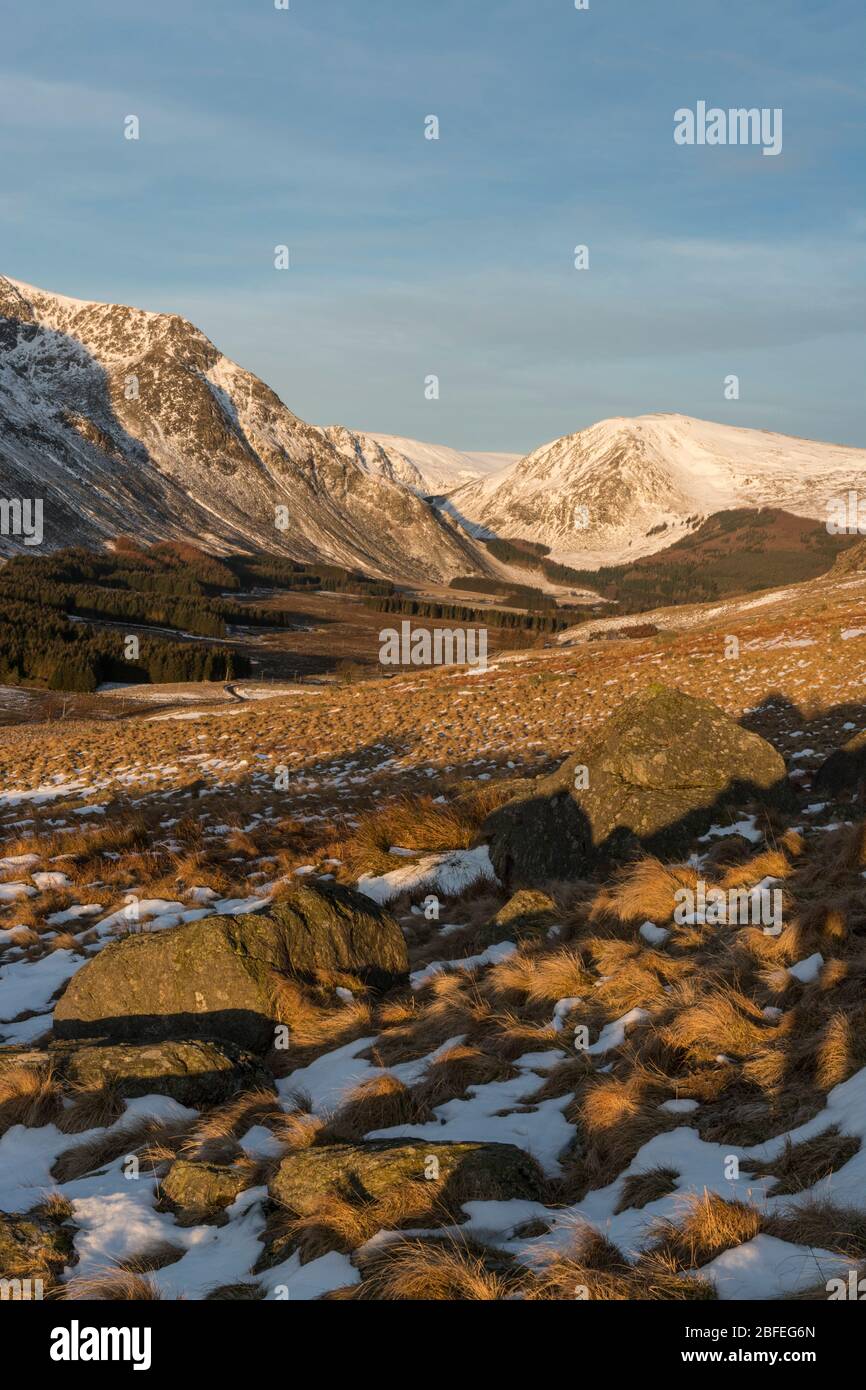 Clova hi-res stock photography and images - Alamy