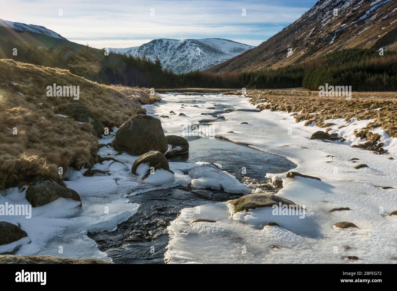 Clova hi-res stock photography and images - Alamy