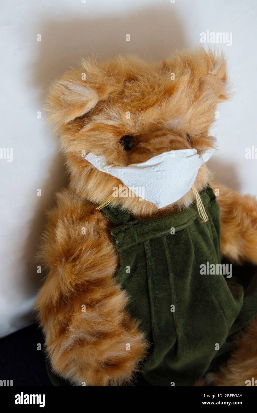 A furry teddy bear wearing a protective face mask is sitting on a chair ...