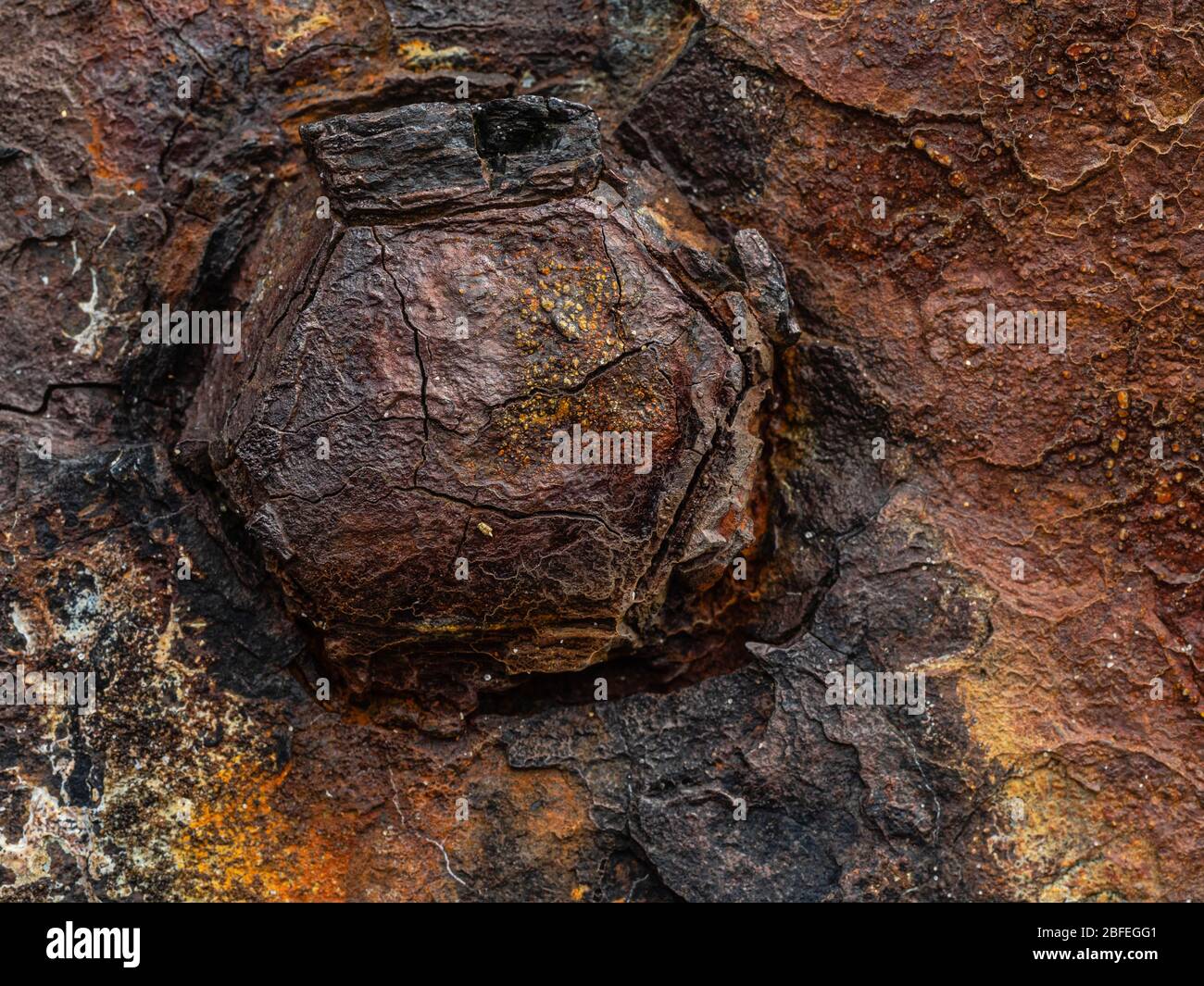 Rusted bolt head Stock Photo - Alamy