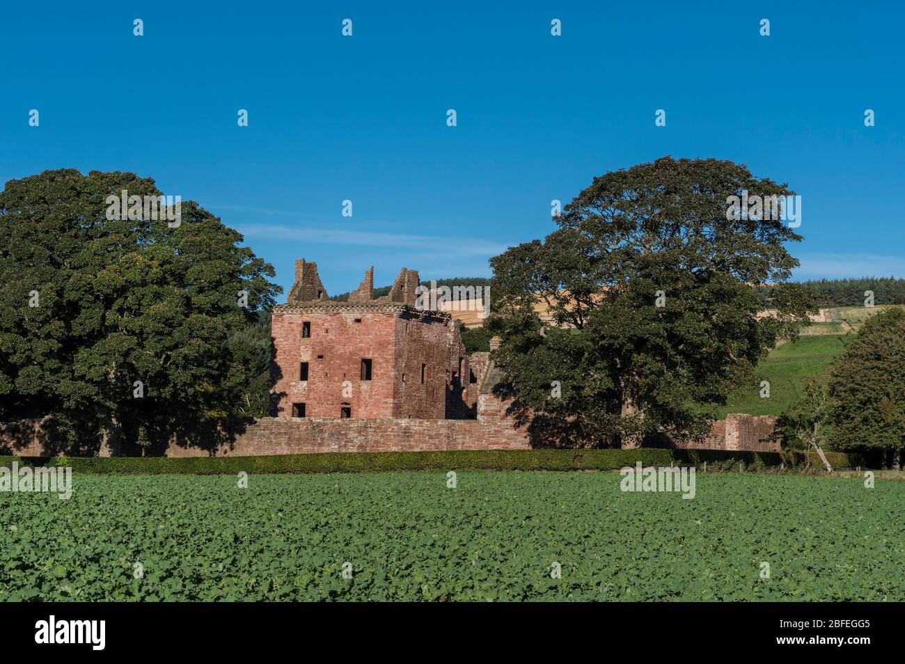 Edzell castle hi-res stock photography and images - Alamy