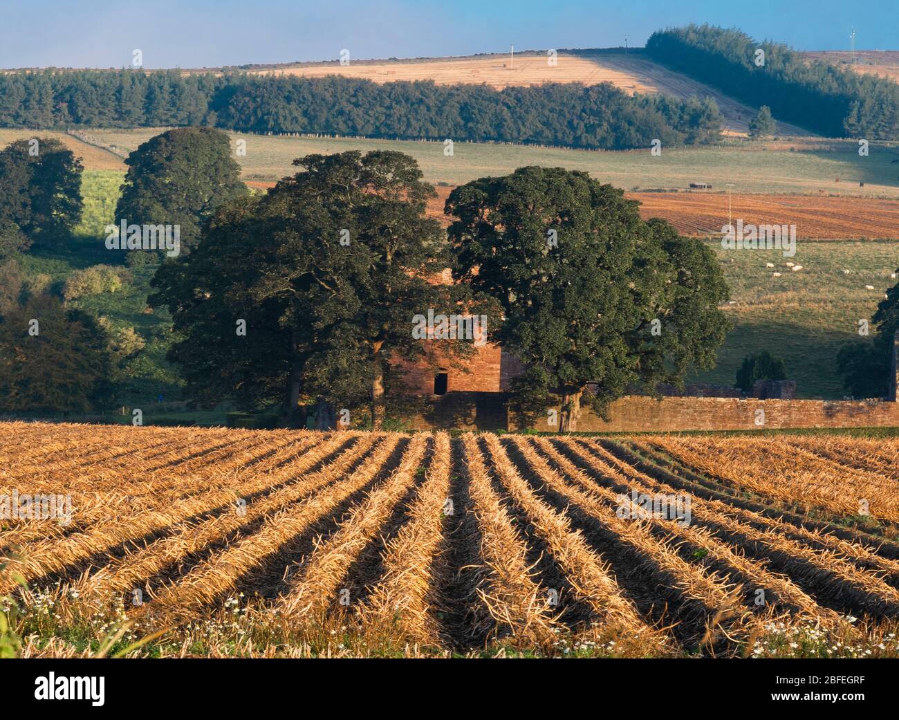 Edzell castle scotland hi-res stock photography and images - Alamy