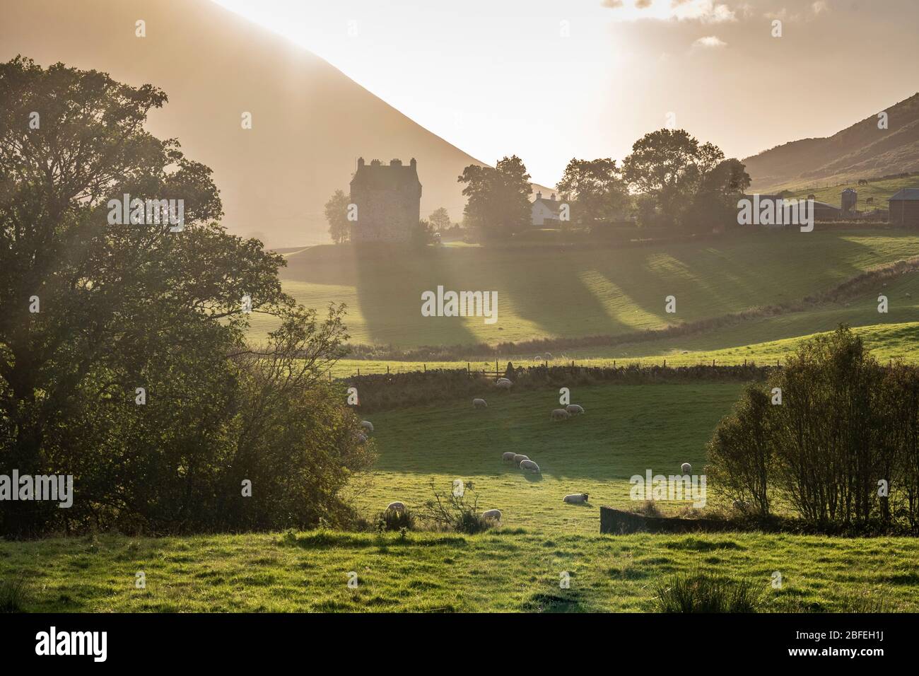 Forter Castle, Glenisla, Angus Stock Photo - Alamy