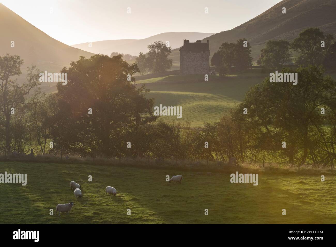Forter Castle, Glenisla, Angus Stock Photo - Alamy