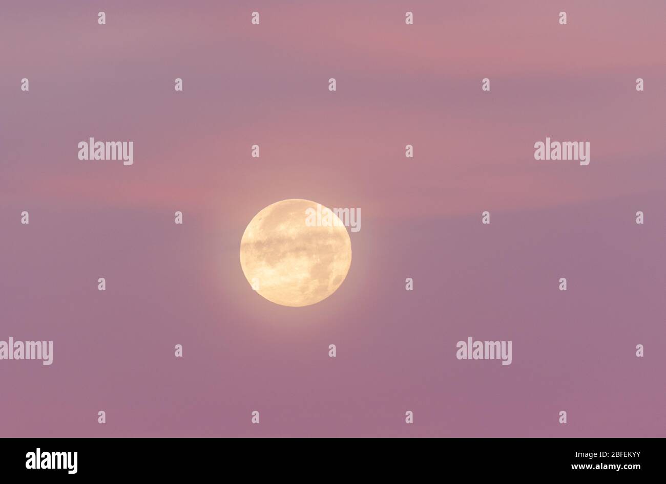 Mooon hi-res stock photography and images - Alamy