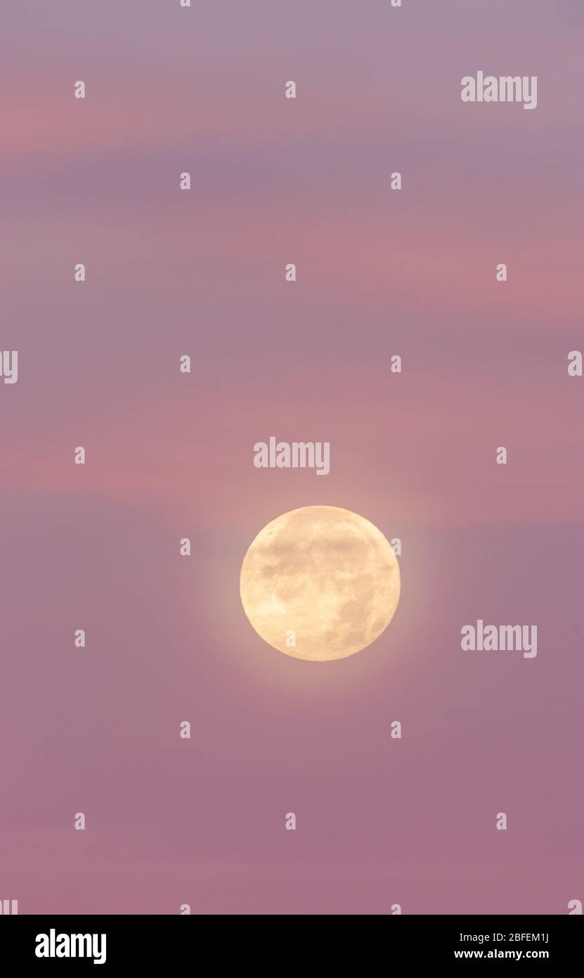 Mooon hi-res stock photography and images - Alamy