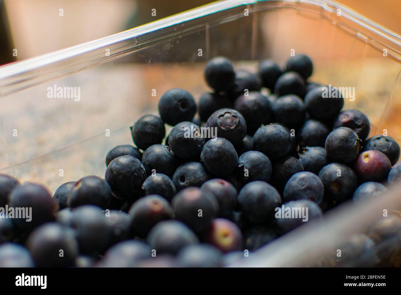 Fresh organic blueberries in a plastic punnet Stock Photo - Alamy