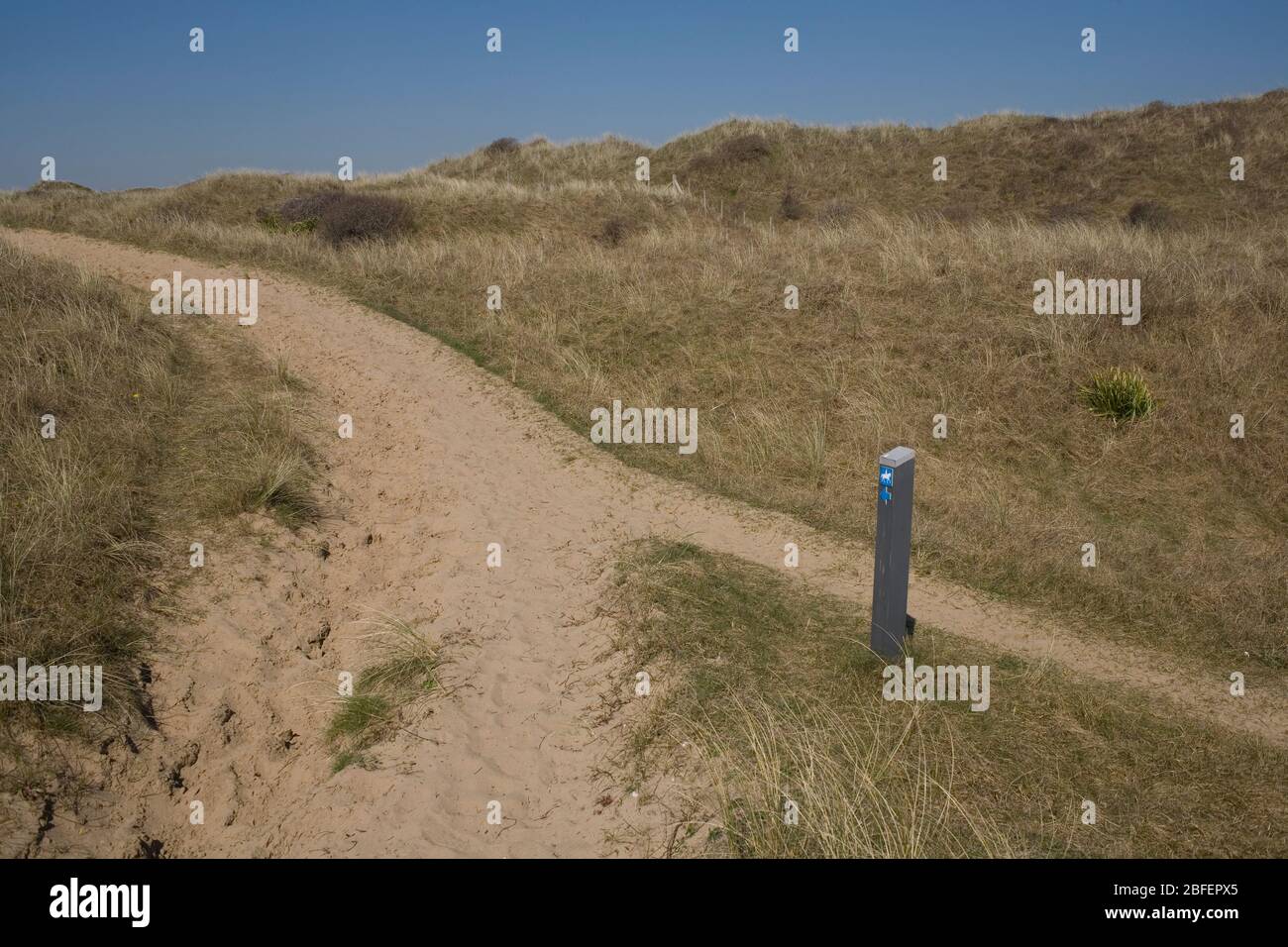 Forked shape hi-res stock photography and images - Alamy