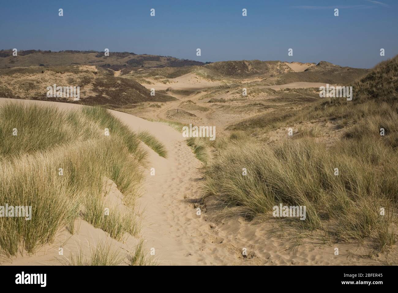 Sandy path with footprints and expanse of dunes at Merthyr Mawr nature ...