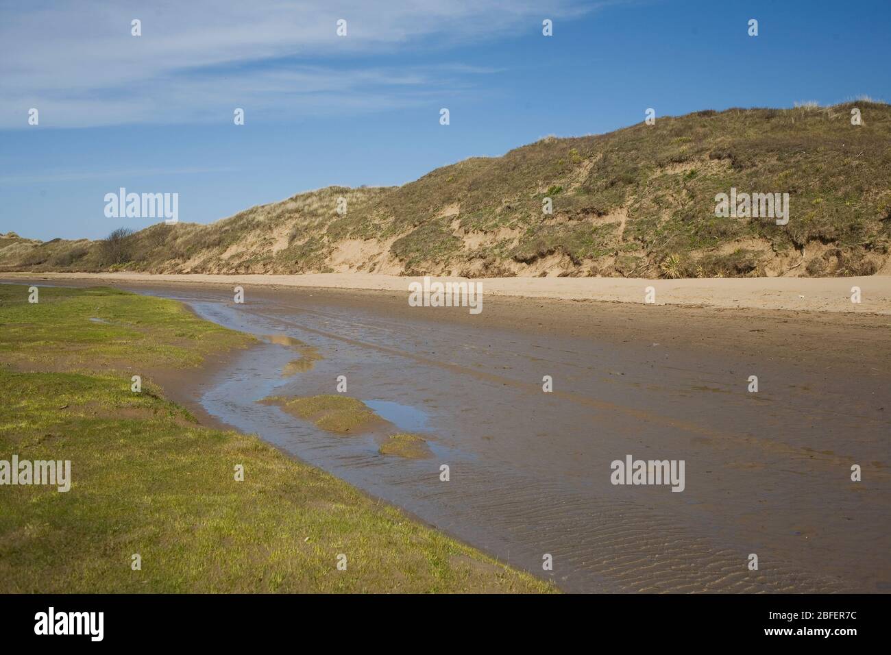 Dune grass in damp hi-res stock photography and images - Alamy