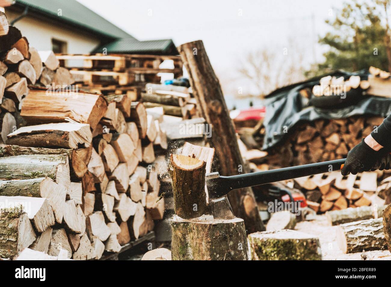 Cutting and splitting firewood hi-res stock photography and images - Alamy