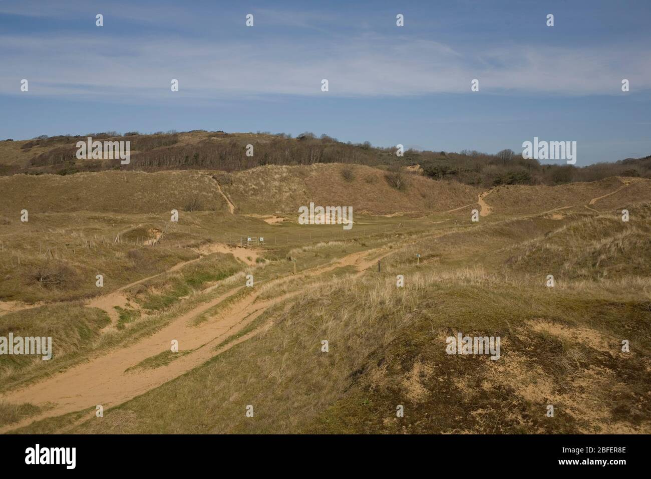 wide sandy path used as bridleway with trees in distance in Merthyr ...