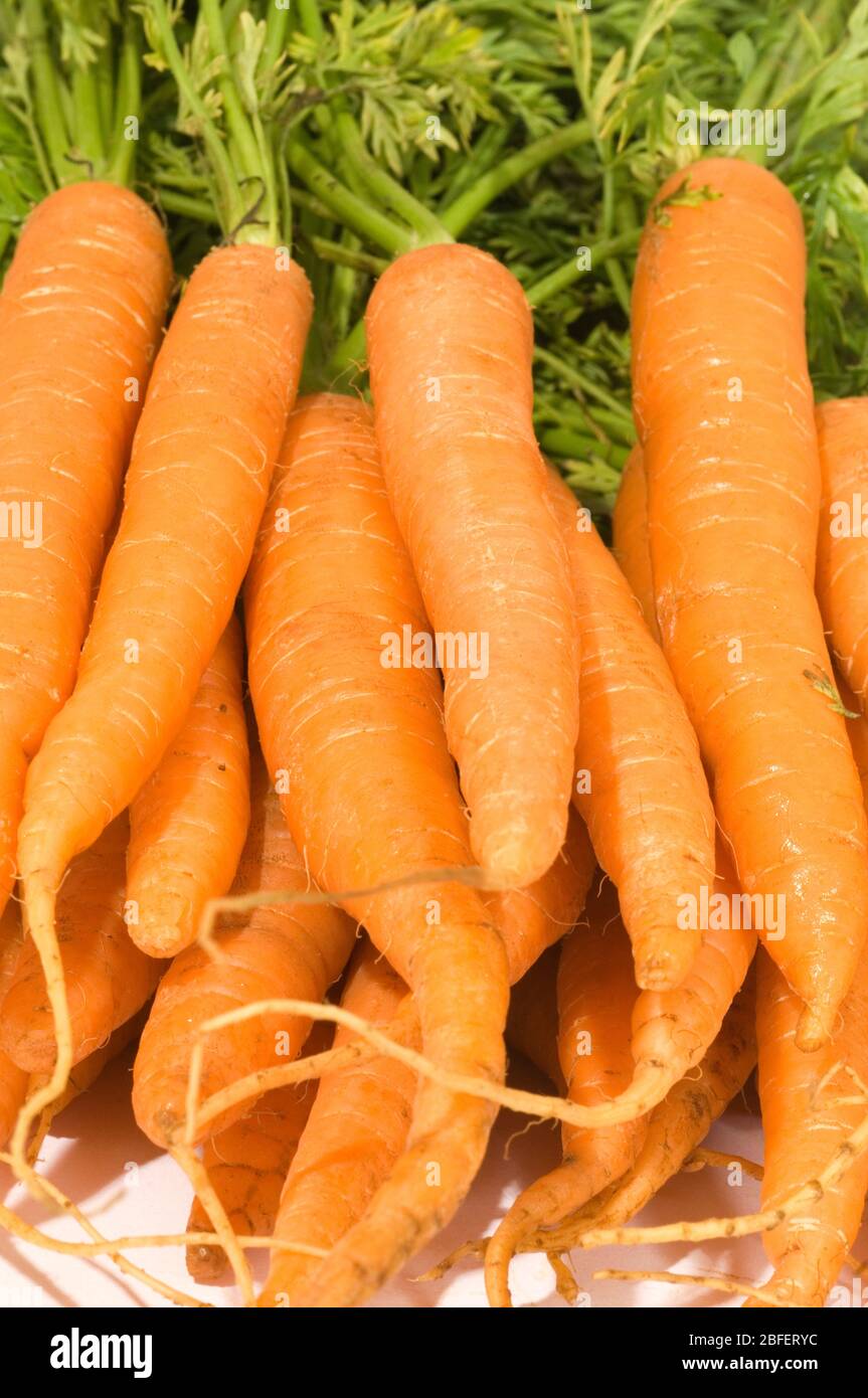 A stack of carrots Stock Photo - Alamy