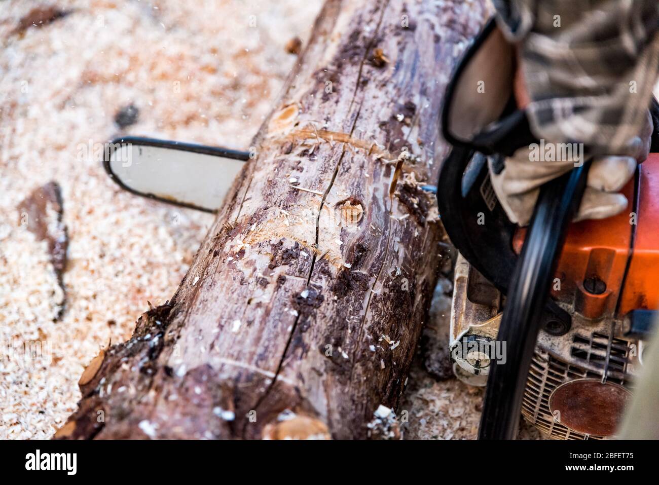 Woodcutter working with chainsaw at sawmill. Man cutting wood logs for ...