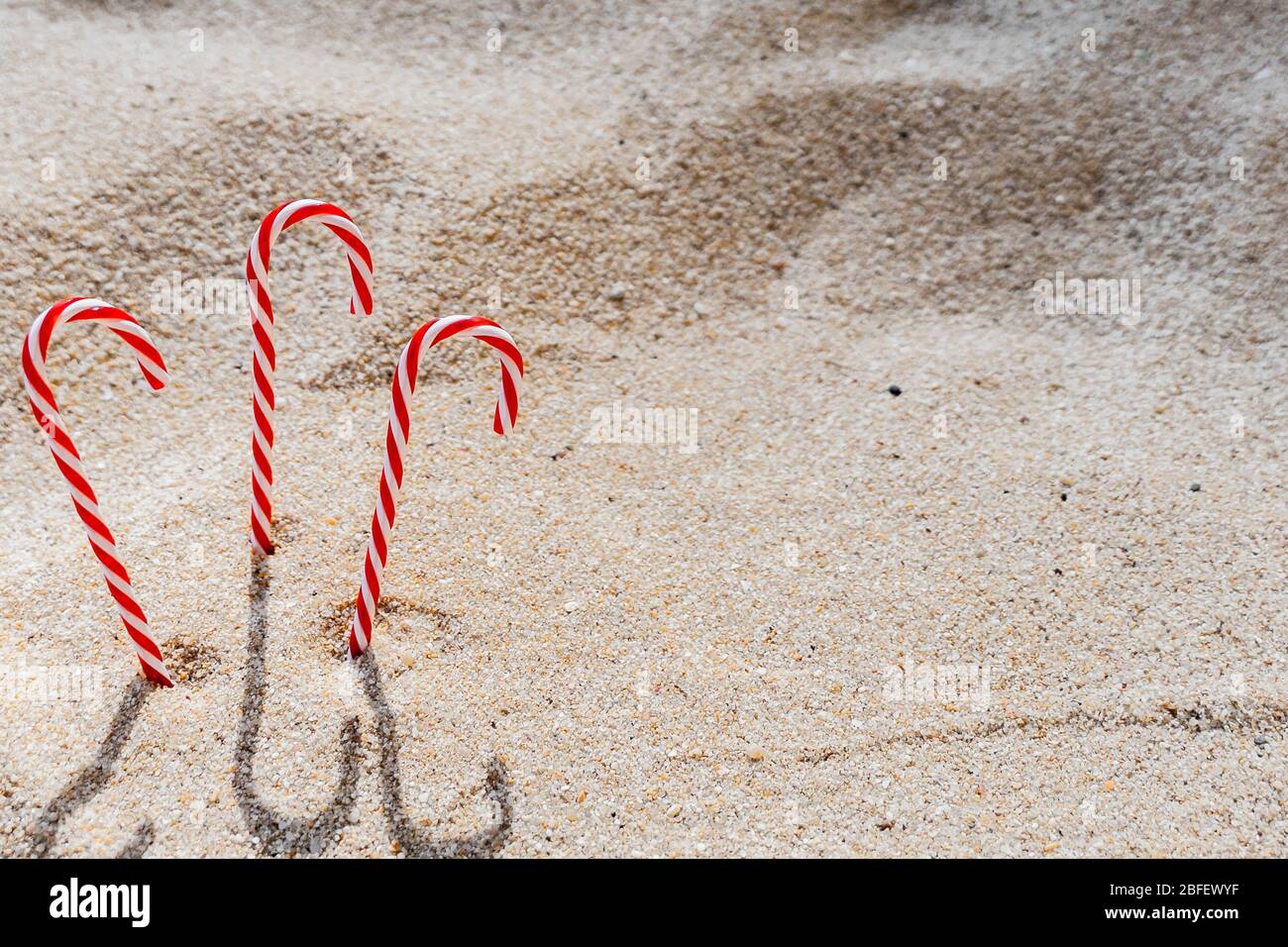 Who Are Sandy And Candy