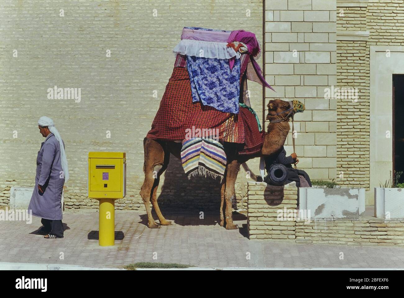 Camel howdah hi-res stock photography and images - Alamy