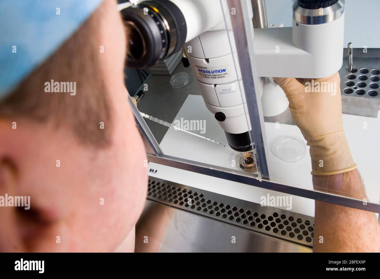 Before implantation into a female patients viable embryos are selected ...