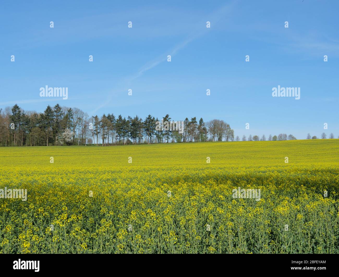 spring time in germany Stock Photo - Alamy