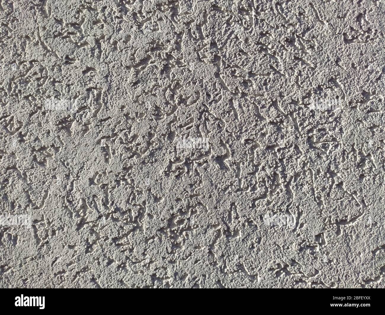 The texture of the plaster is bark beetle on the wall. Seamless grey ...