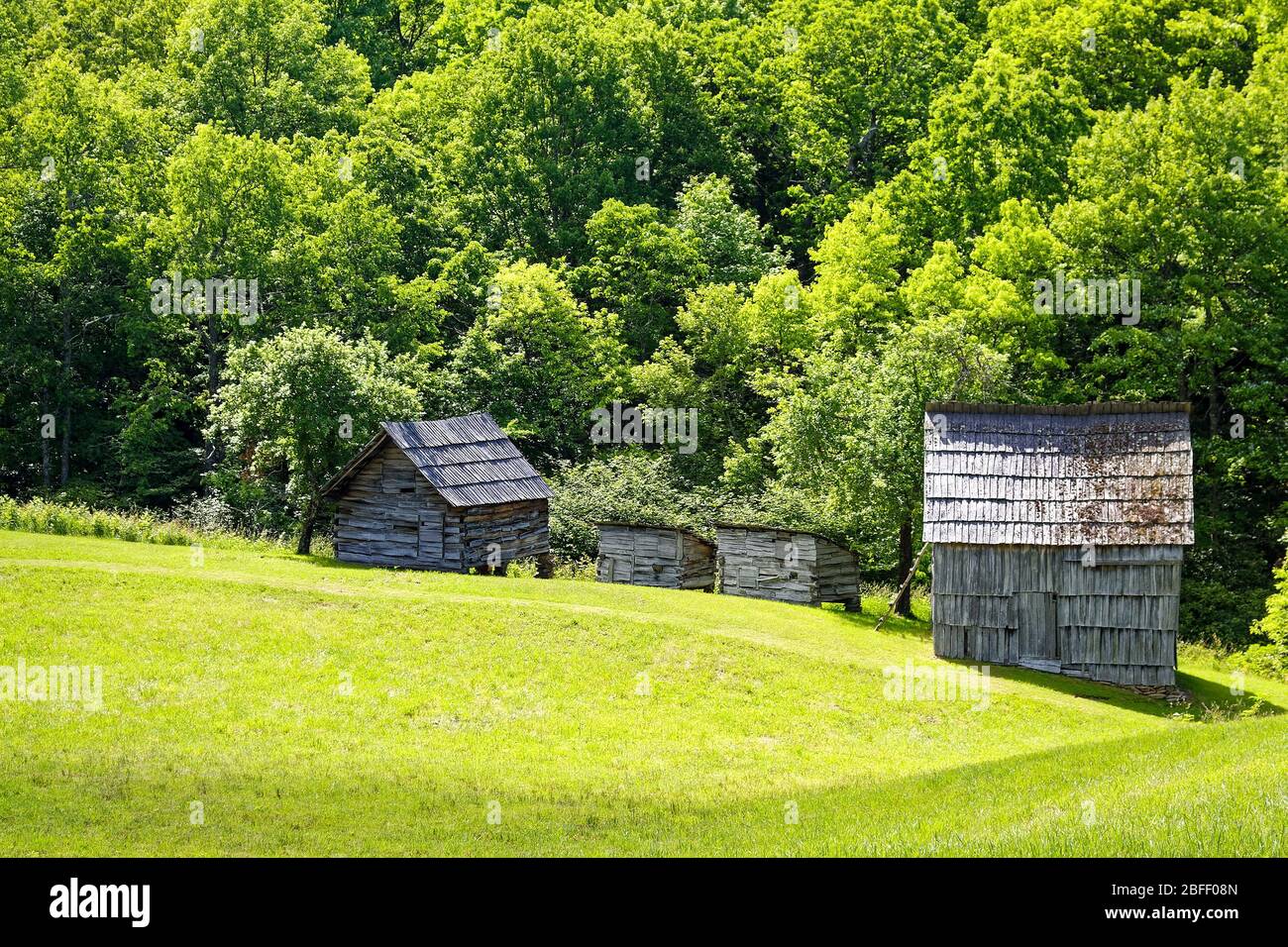 4 old wood farm buildings, hand-hewn, woods, grass, rural scene ...