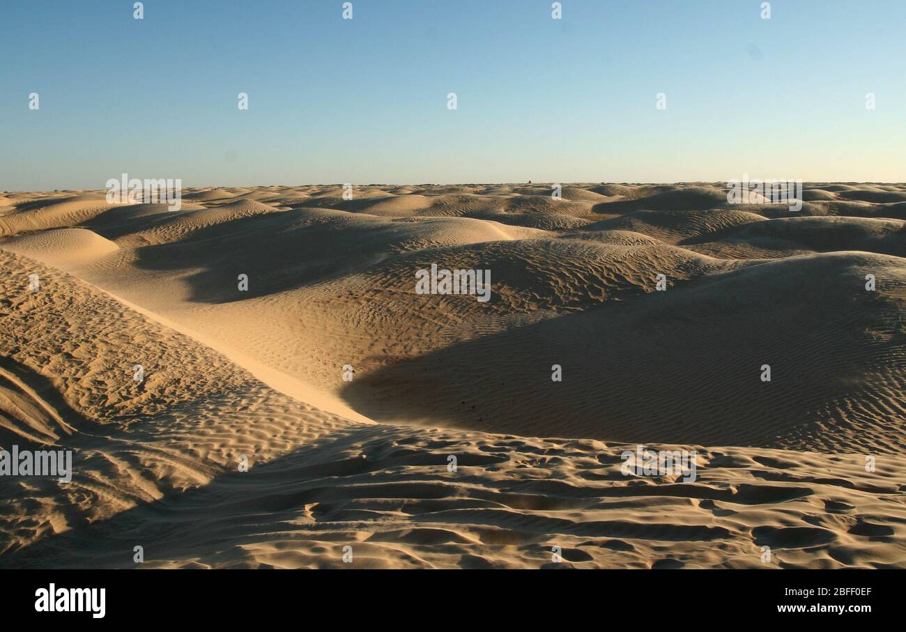 Tunisia, Sahara Desert: Sahara dunes Stock Photo - Alamy