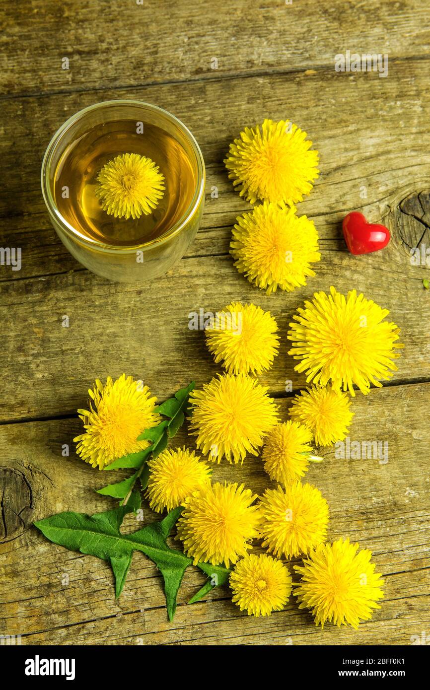 Herbal tea infusion of fresh dandelion leaf, with yellow blossoms ...