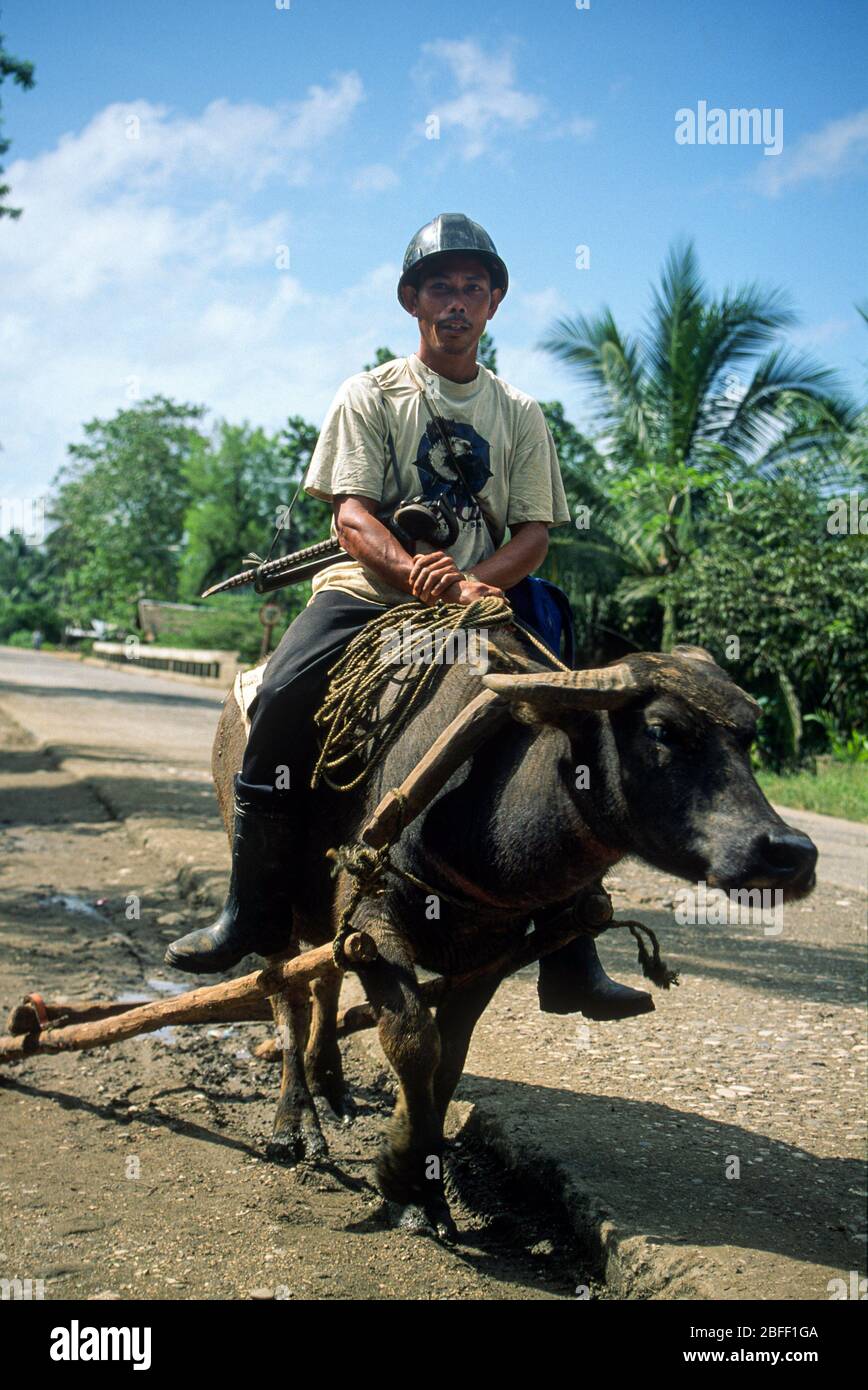 Farmer riding a buffalo, Mindanao, Philippines, March 1996 Stock Photo ...