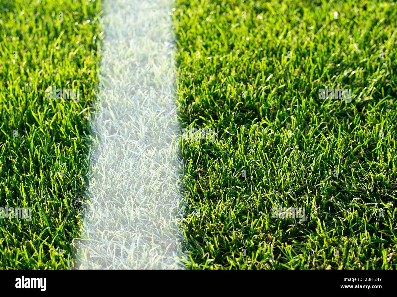 Indoor football pitch hi-res stock photography and images - Alamy