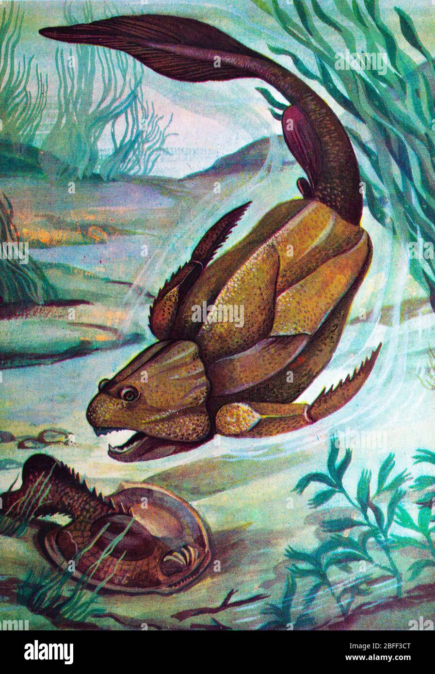 Prehistoric Fish
