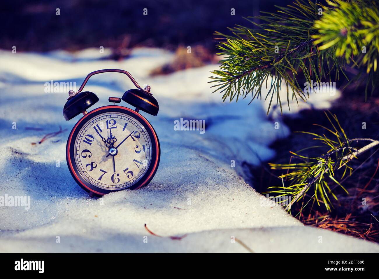 Old retro alarm clock in the snow in the forest with Sunny bunnies ...