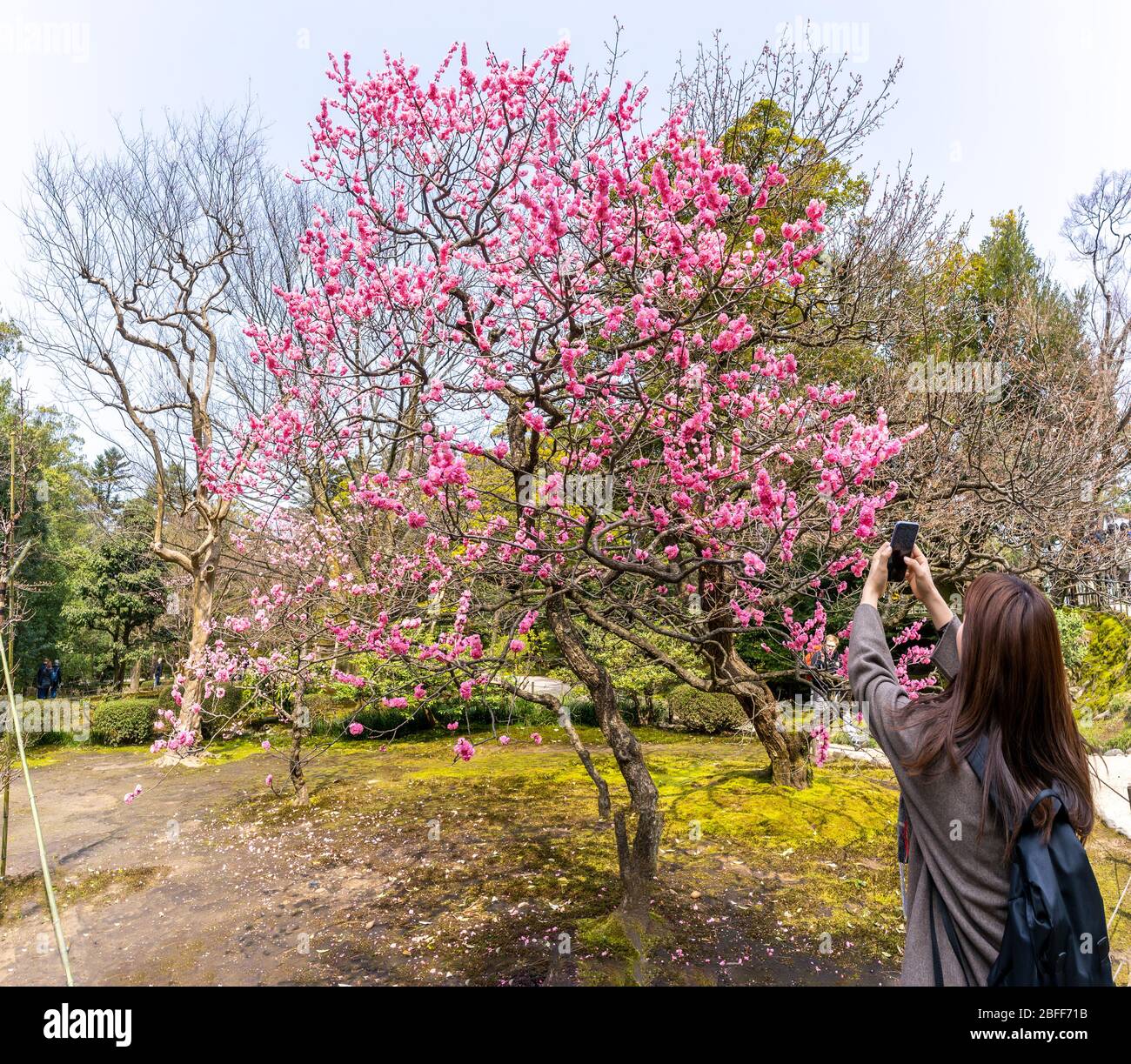 Anami japan hi-res stock photography and images - Alamy