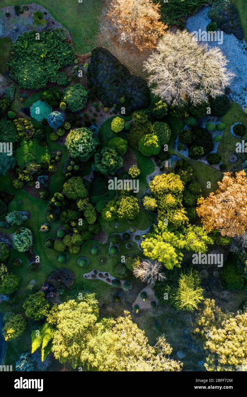 Field with bushes aerial view hi-res stock photography and images - Alamy