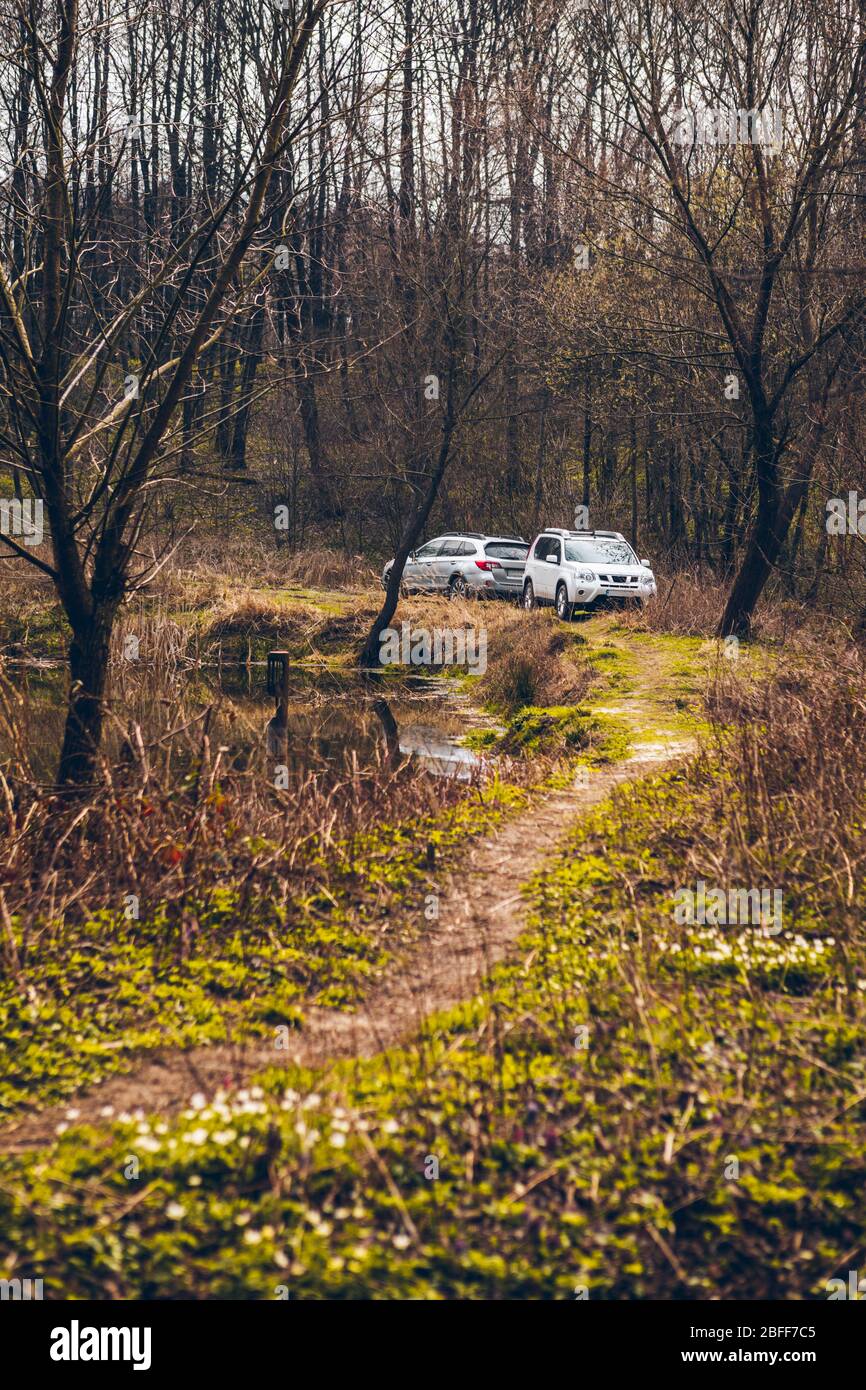 two suv car in forest. foot path Stock Photo - Alamy